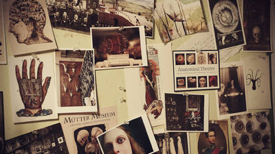 NYC's Morbid Anatomy Library has reopened at Industry City