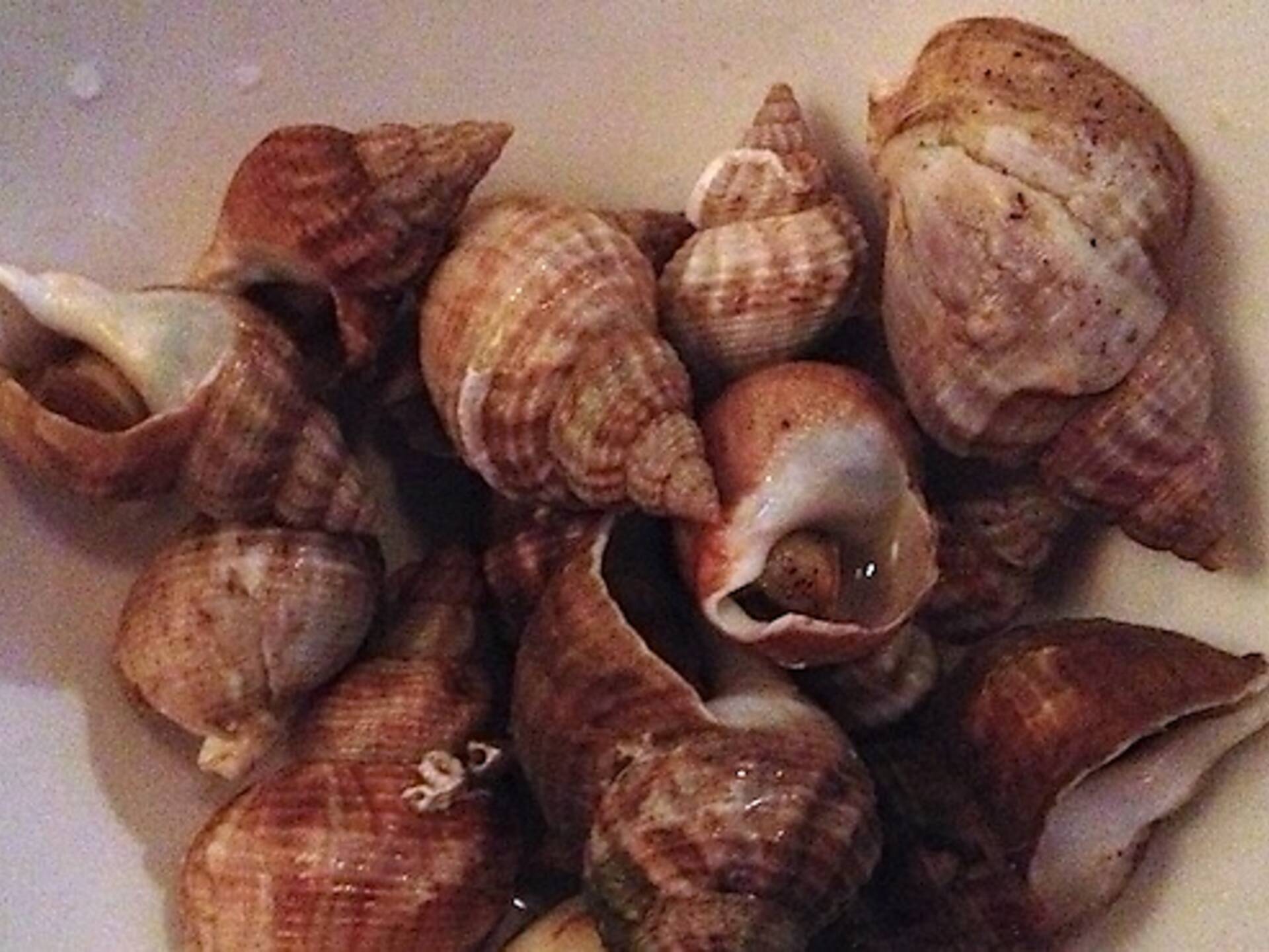 Fish & seafood restaurants in Paris | 100 best restaurants | Time Out Paris