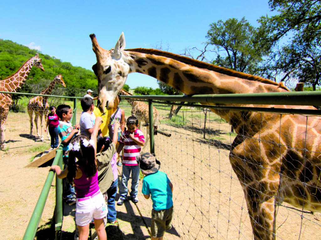 10 Brilliant Things to Do with Kids in Mexico City