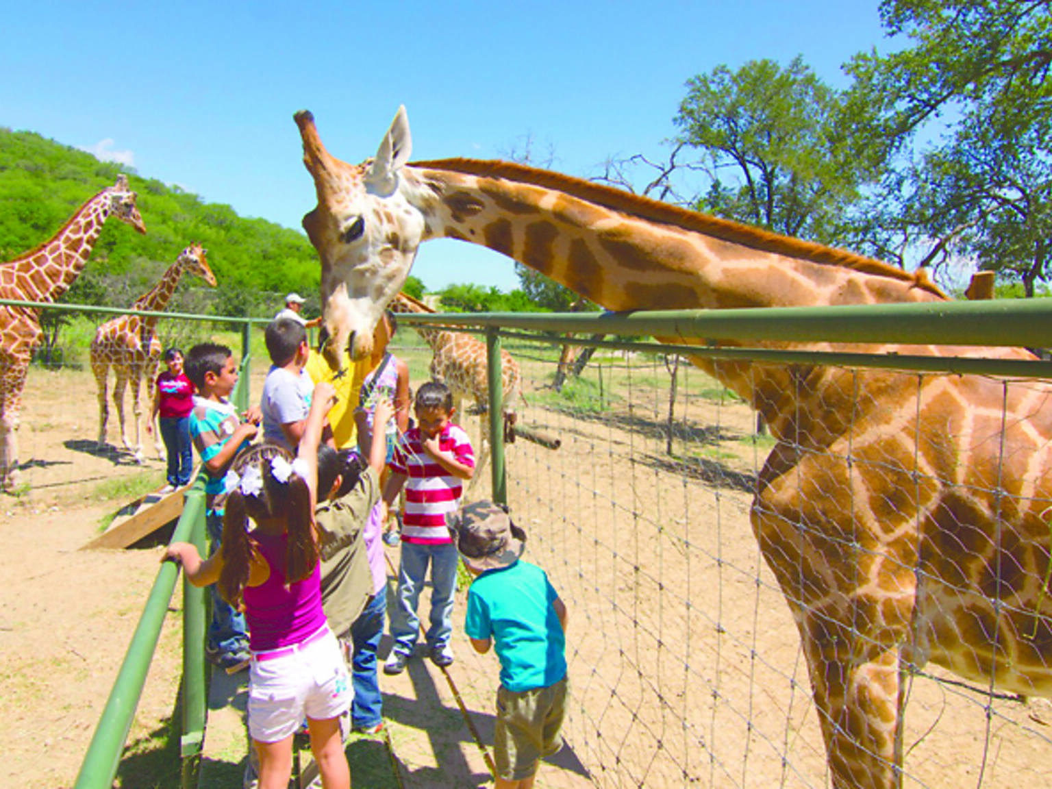 10 Brilliant Things to Do with Kids in Mexico City