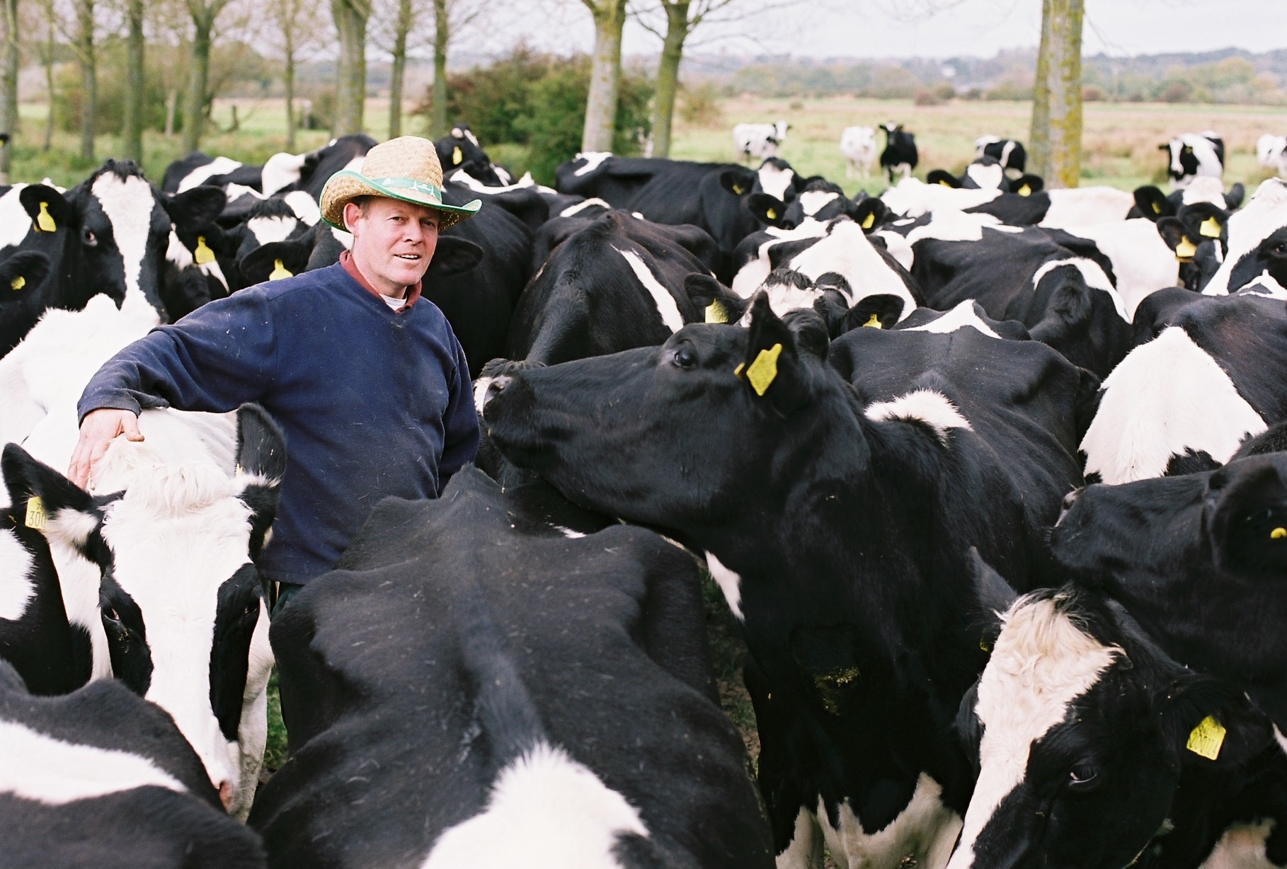 The Moo Man 2013, directed by Andy Heathcote | Film review