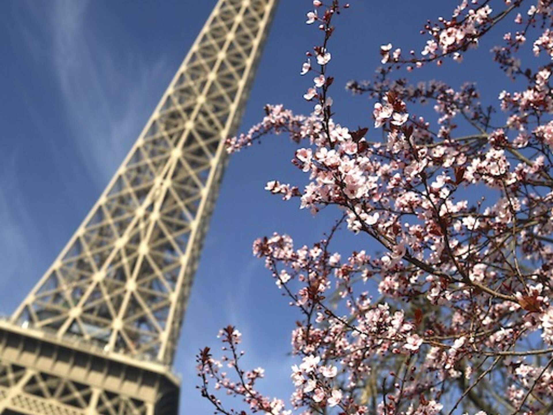 Paris in spring – Time Out Paris