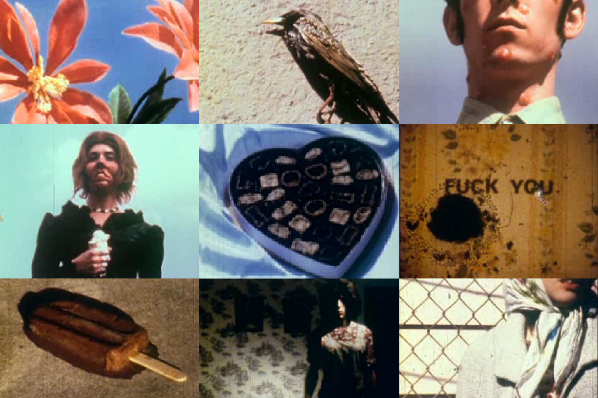 Tom Rhoads: Three Films | Movies in New York