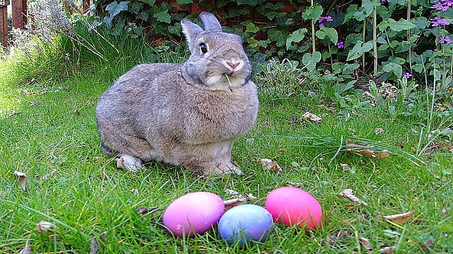 Easter Hoppening | Things to do in Los Angeles