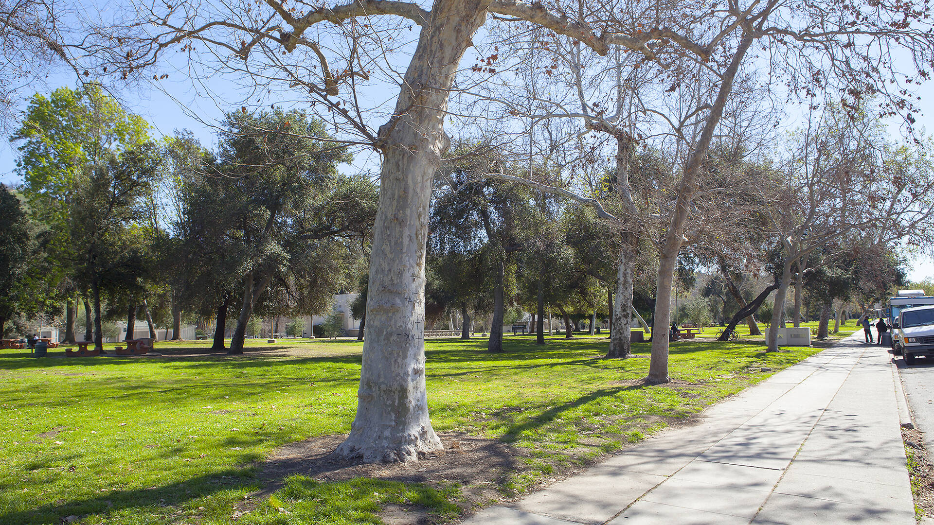 El Mar Azul | Restaurants in Highland Park, Los Angeles