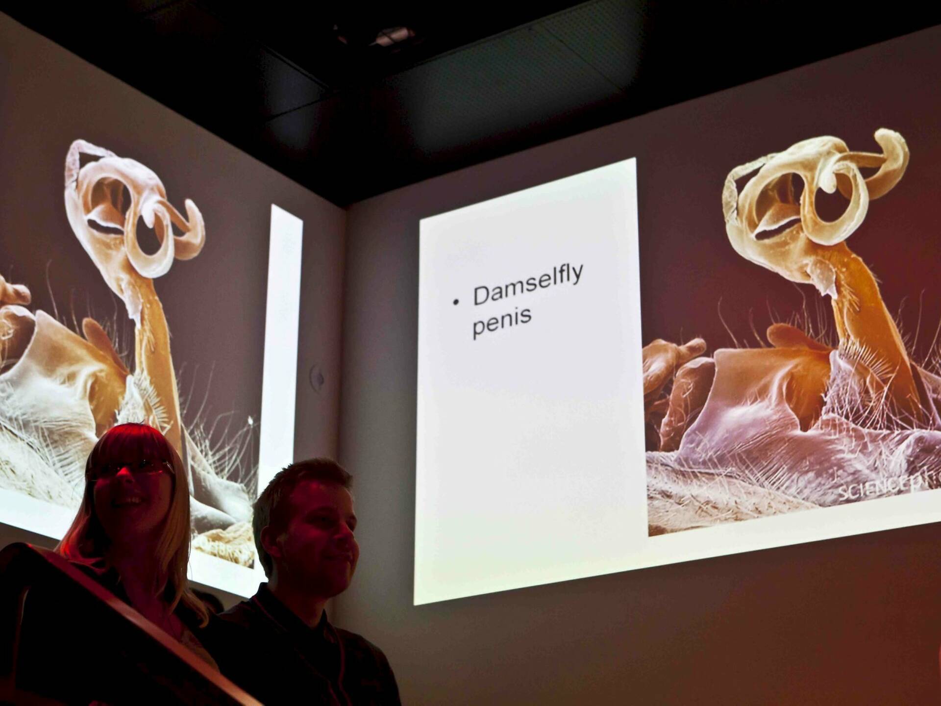 Dino Snores at the Natural History Museum – Dino Snores for Grown Ups ...