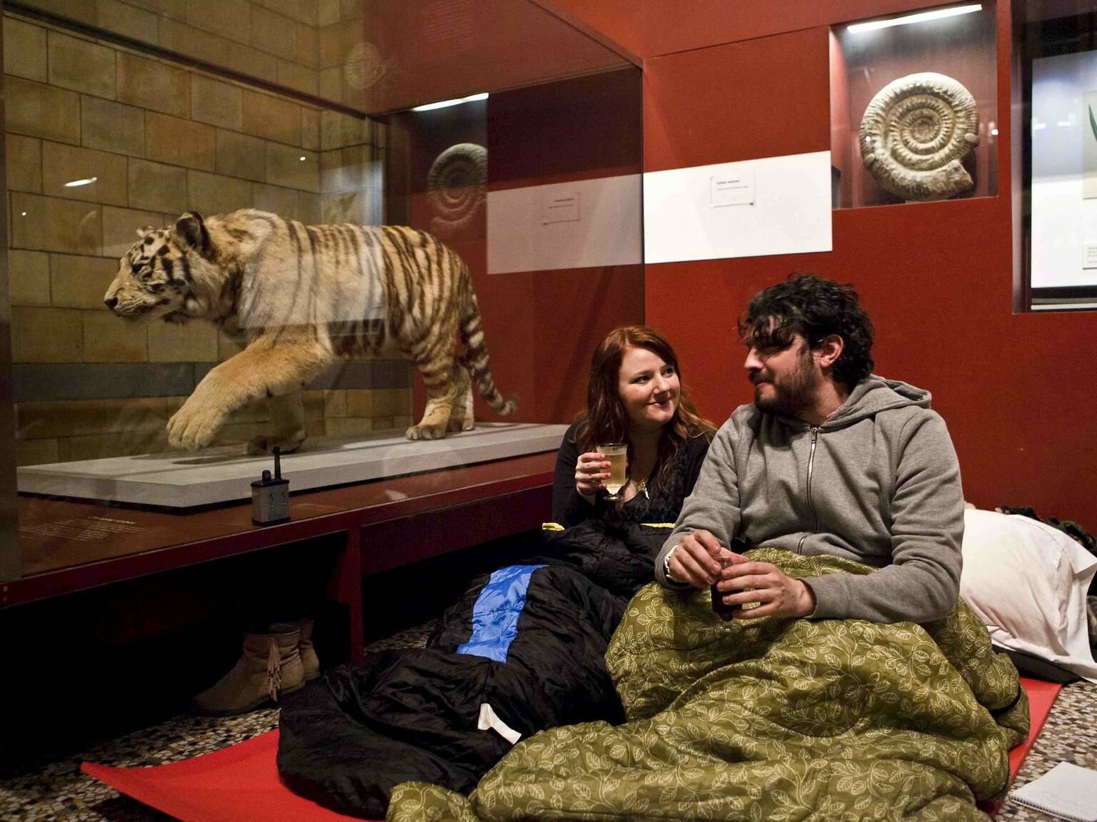 Dino Snores at the Natural History Museum – Dino Snores for Grown Ups ...