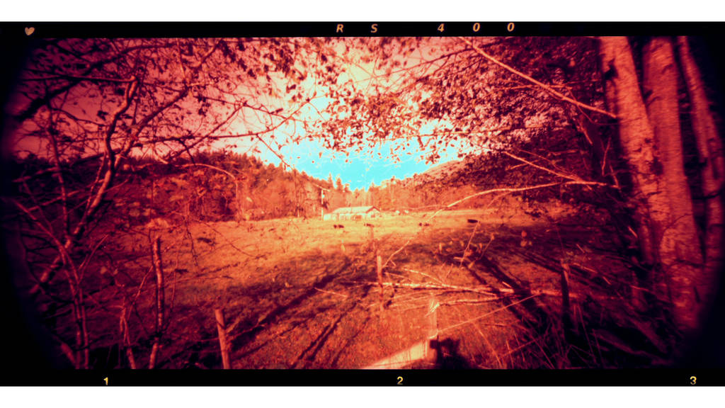 Build a pinhole camera for Worldwide Pinhole Photography Day