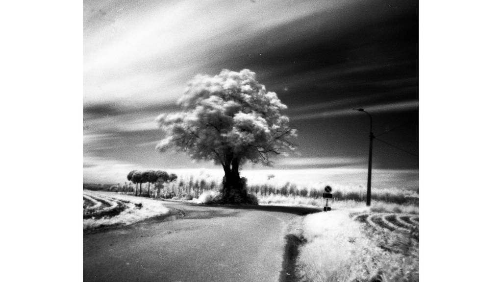 Build a pinhole camera for Worldwide Pinhole Photography Day