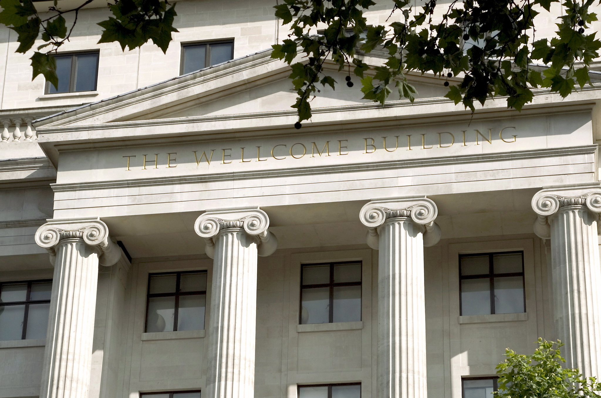 Wellcome Collection | Museums in Euston, London