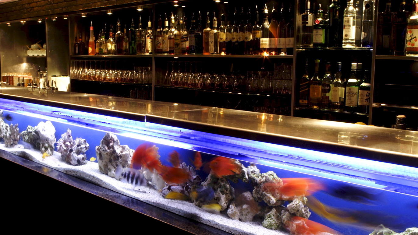 Yauatcha | Restaurants in Soho, London