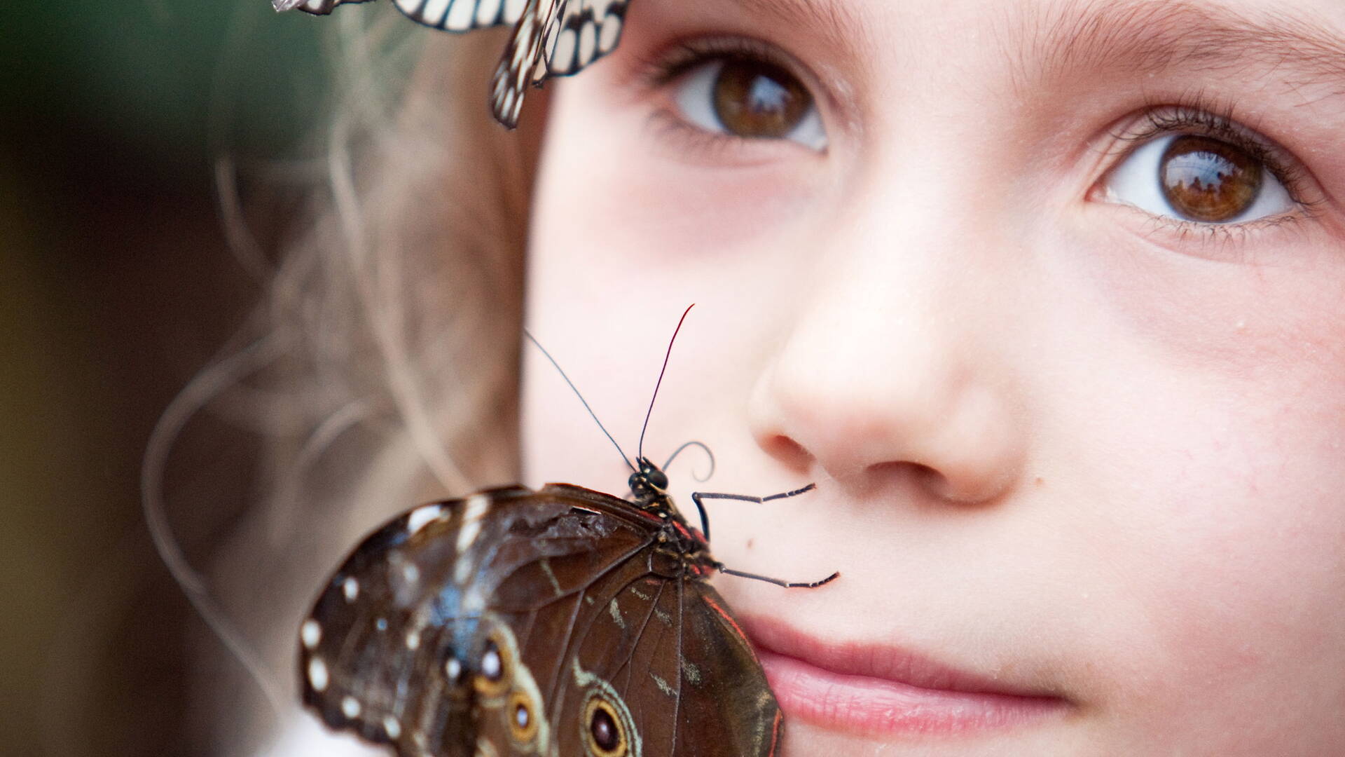 Sensational Butterflies | Things to do in London
