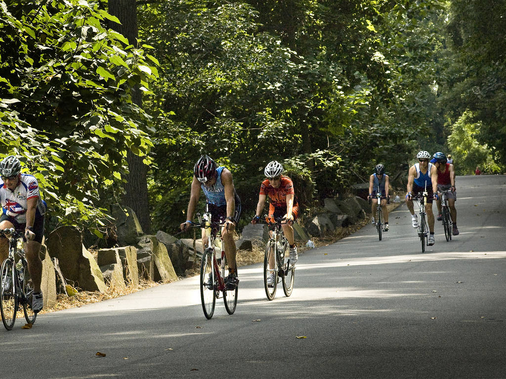 21 Best Day Trips from New York City to Take Now