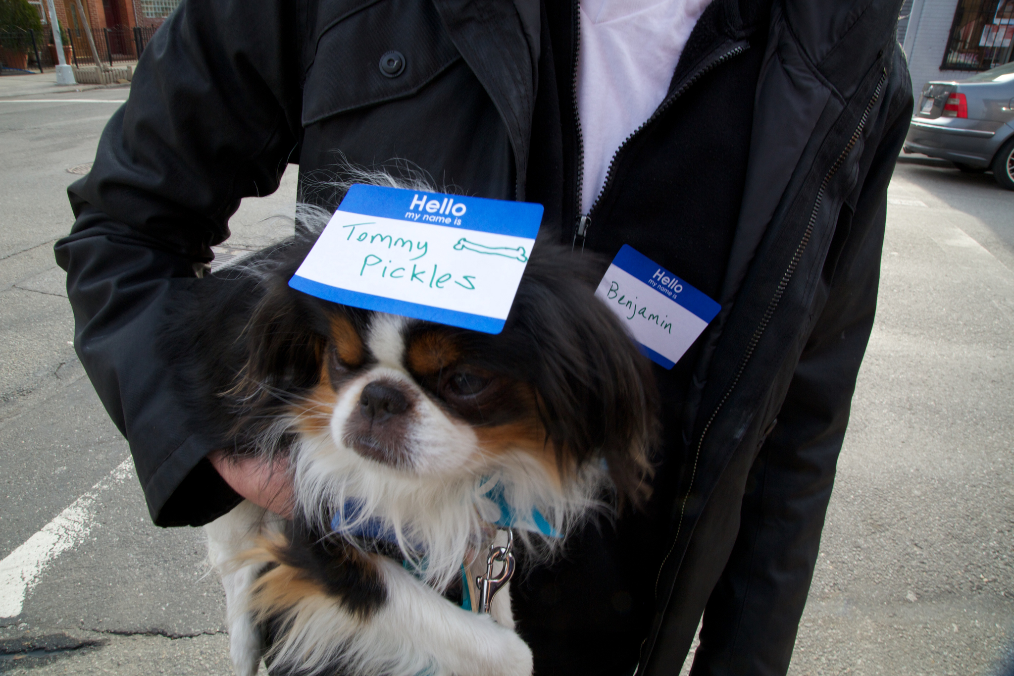 Nametag Day | Things to do in New York