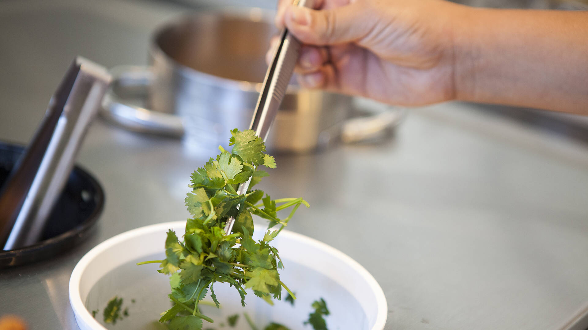 ShopHouse Southeast Asian Kitchen | Restaurants in Hollywood, Los Angeles