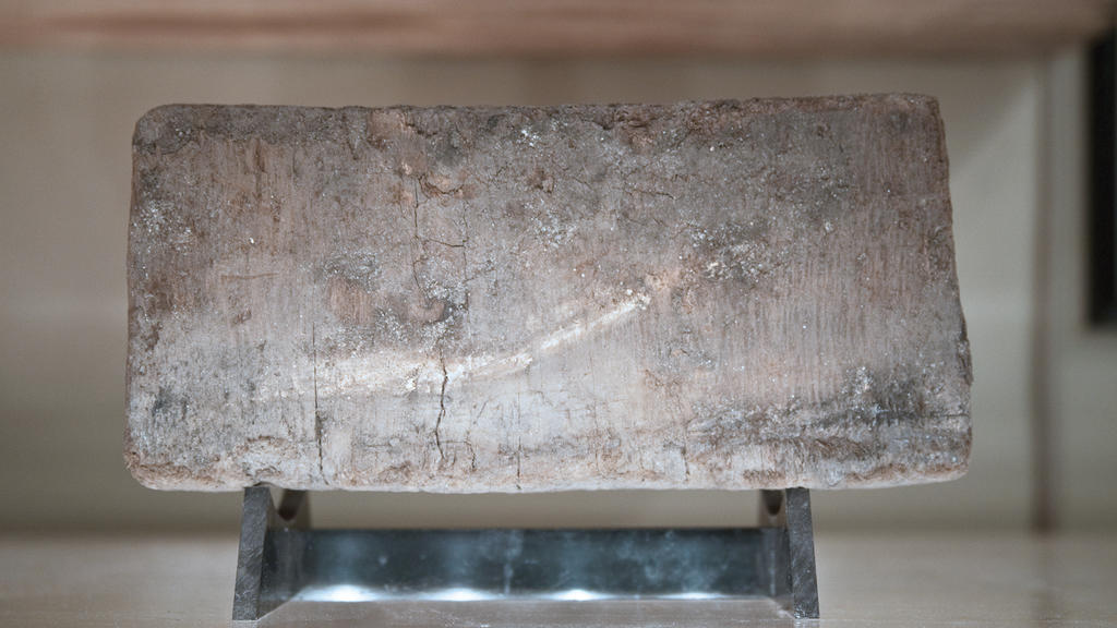 Museum collections with weird art and artifacts that will shock you