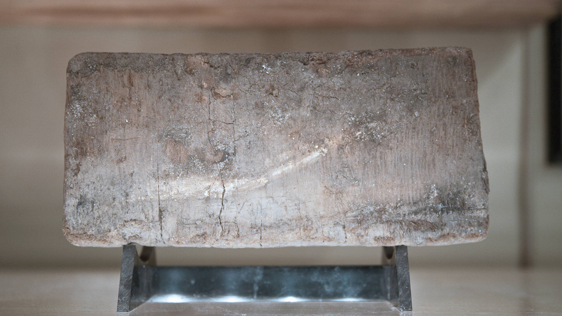 Museum collections with weird art and artifacts that will shock you