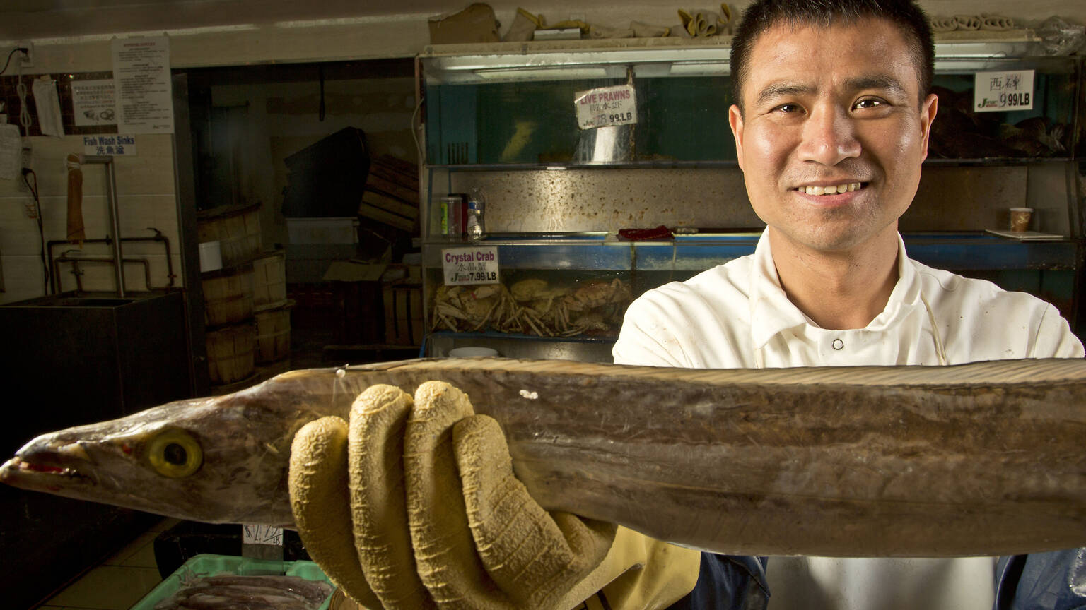 Jmart | Shopping in Flushing, New York