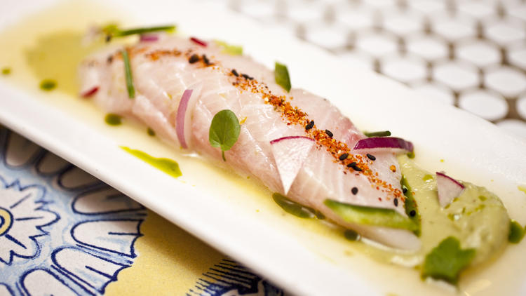 The Feed first look: Bergen Hill