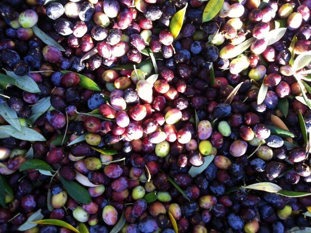 9 Best Things to Do in Ojai, Picked By Experts