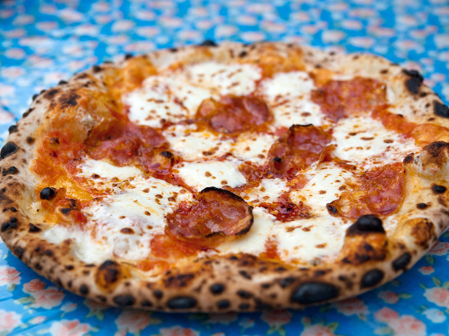 19 Best Pizza Spots in America From Thin-crust to Deep-dish