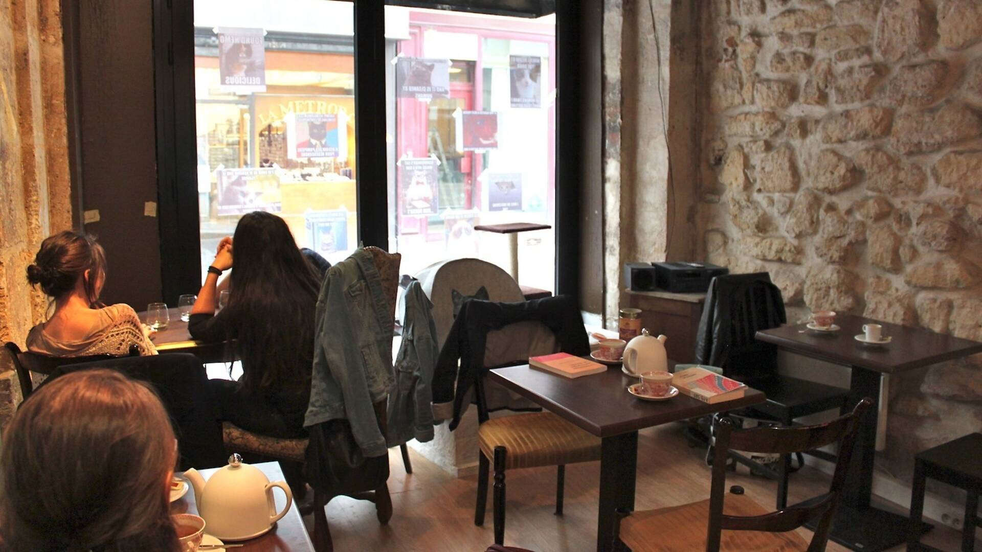 Le café des chats | Restaurants in Le Marais, Paris