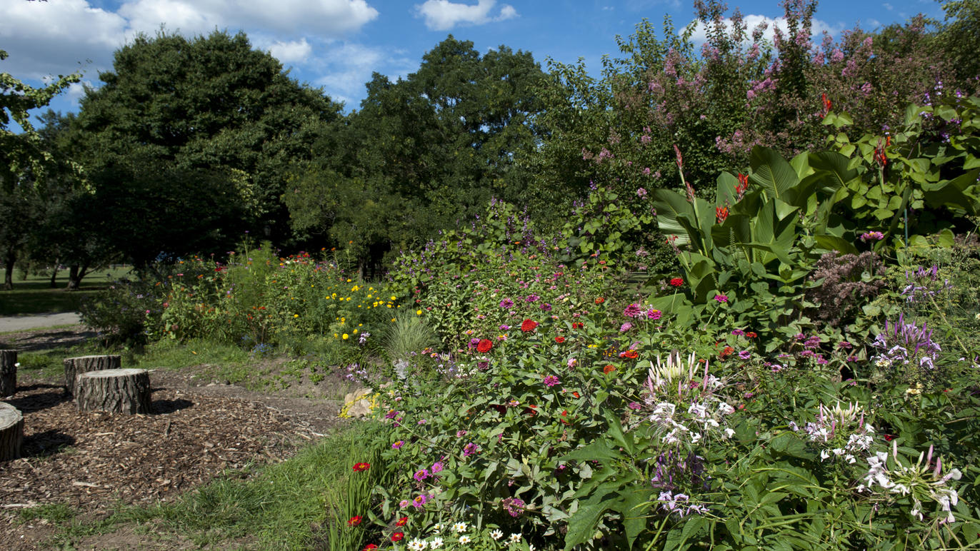 Flushing, Queens: A day in the neighborhood