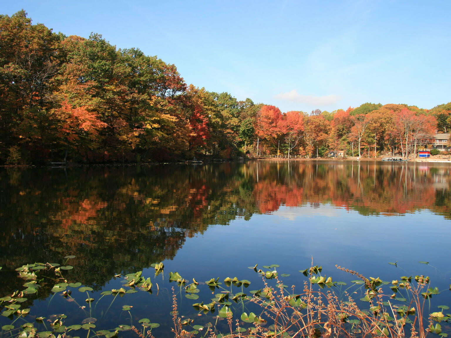 Fall Foliage in NYC: Best Spots To See It in 2025