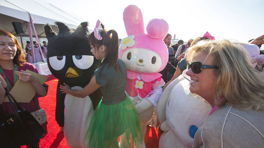 Hello Kitty jet is made of cute (slide show)