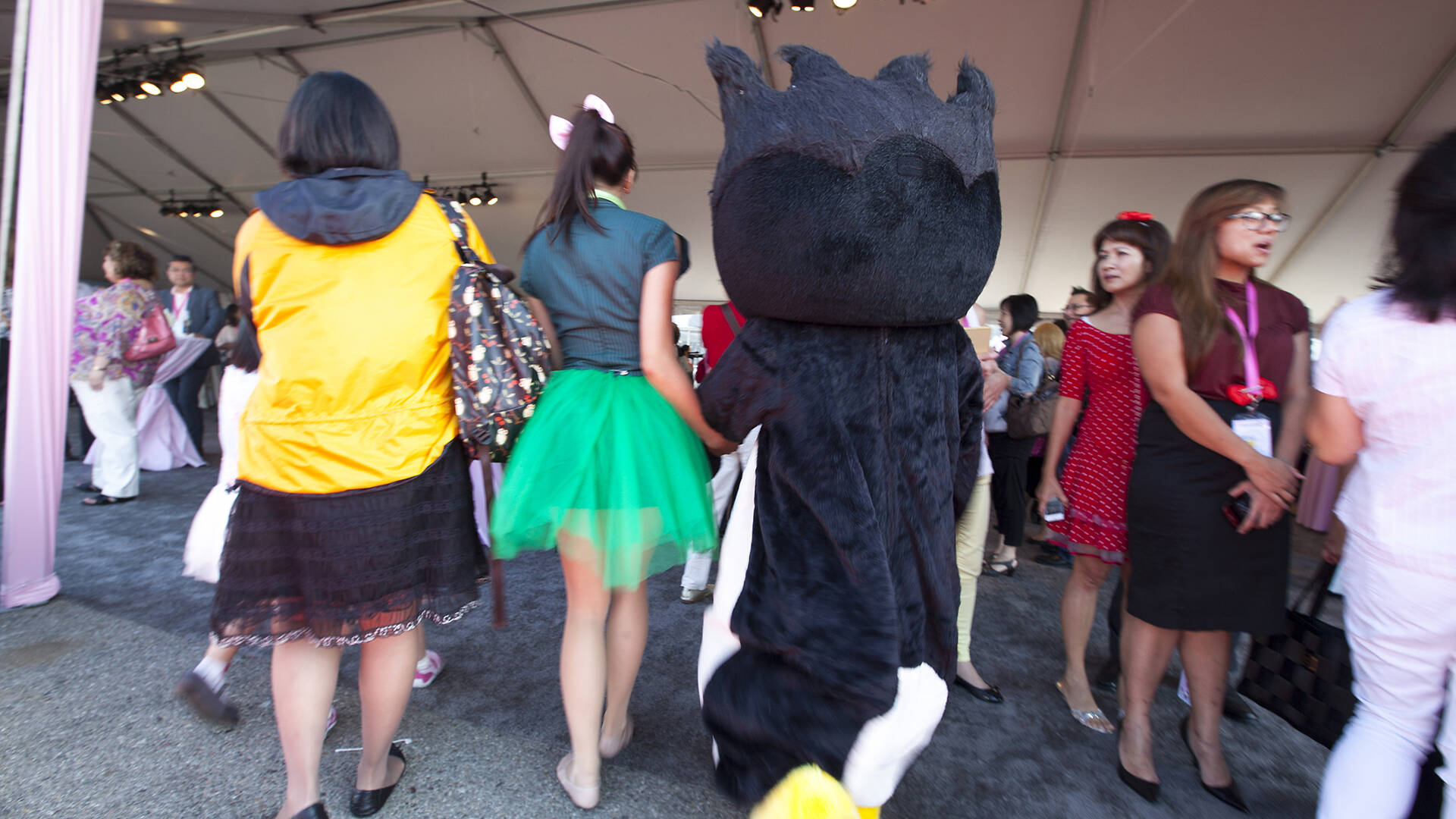 Hello Kitty jet is made of cute (slide show)