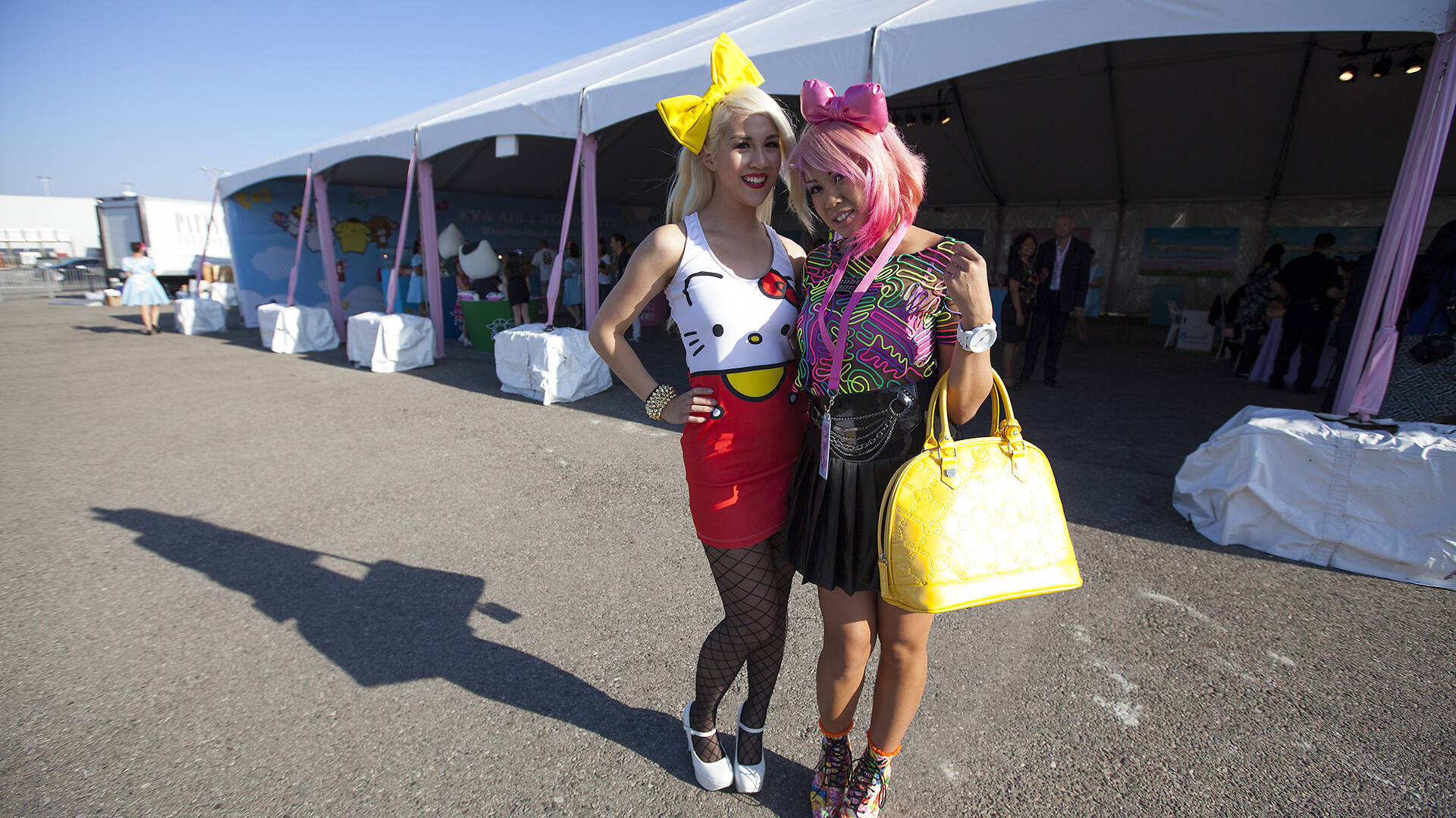 Hello Kitty jet is made of cute (slide show)