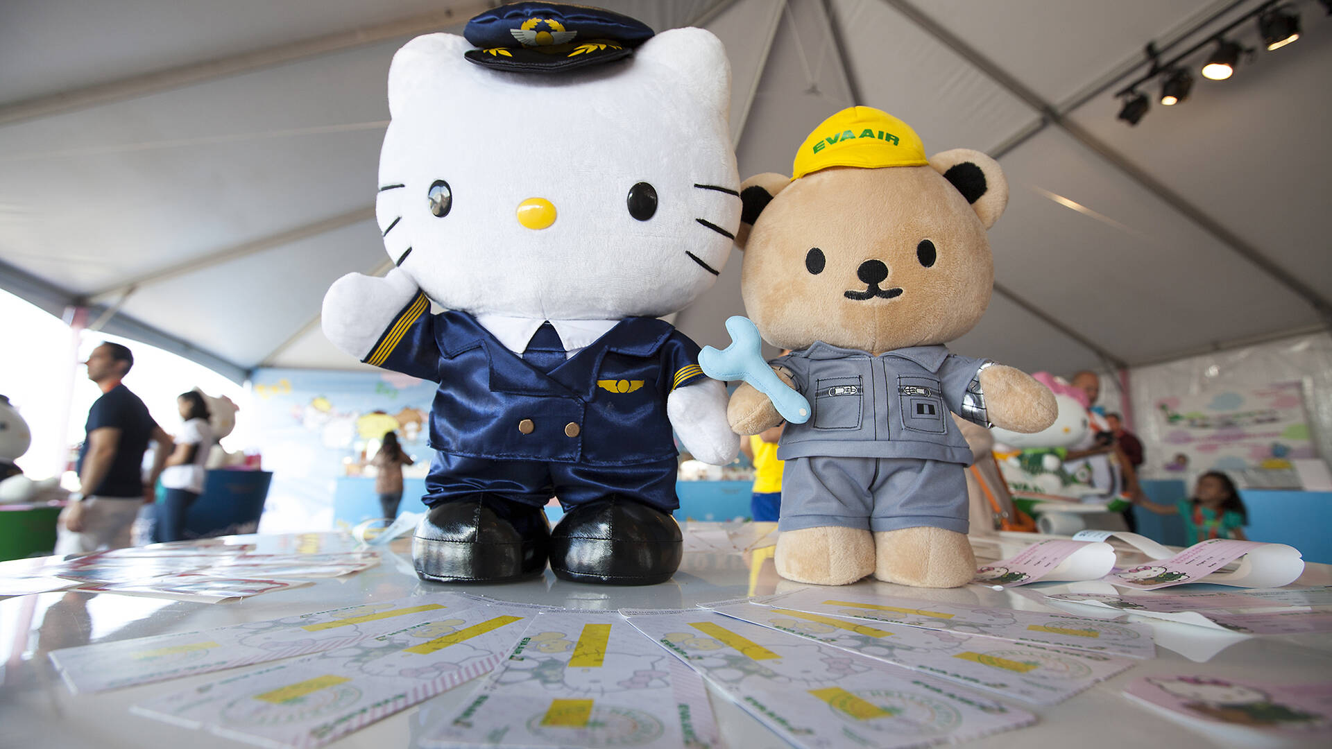 Hello Kitty jet is made of cute (slide show)