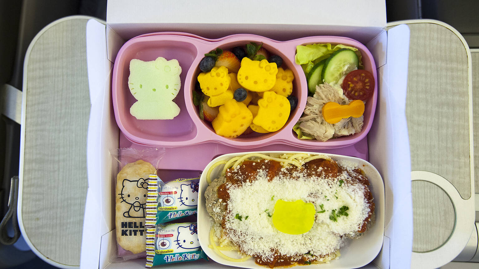 Hello Kitty jet is made of cute (slide show)