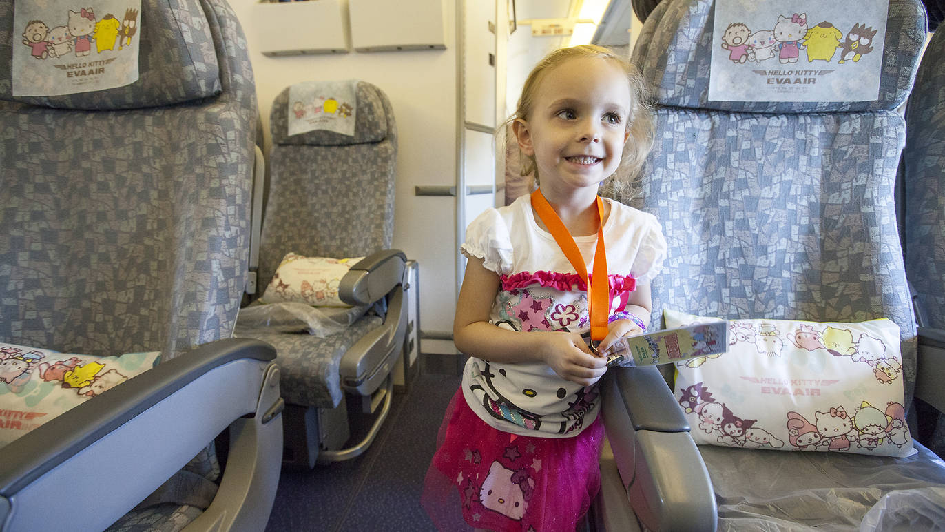 Hello Kitty jet is made of cute (slide show)