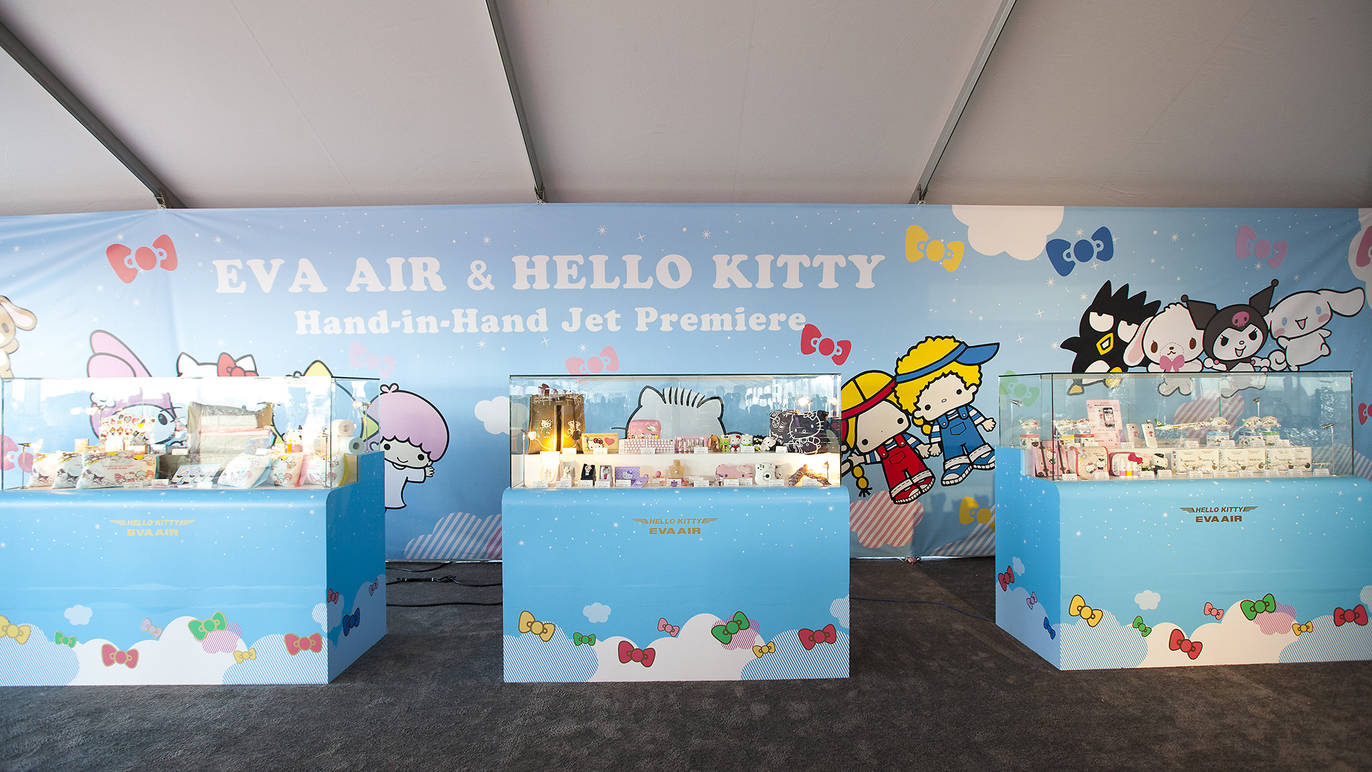 Hello Kitty jet is made of cute (slide show)