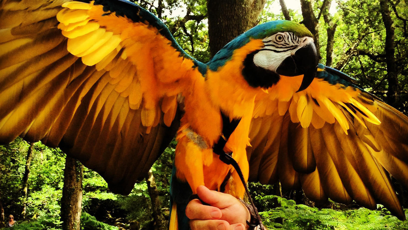 25 brilliant photos of London animals