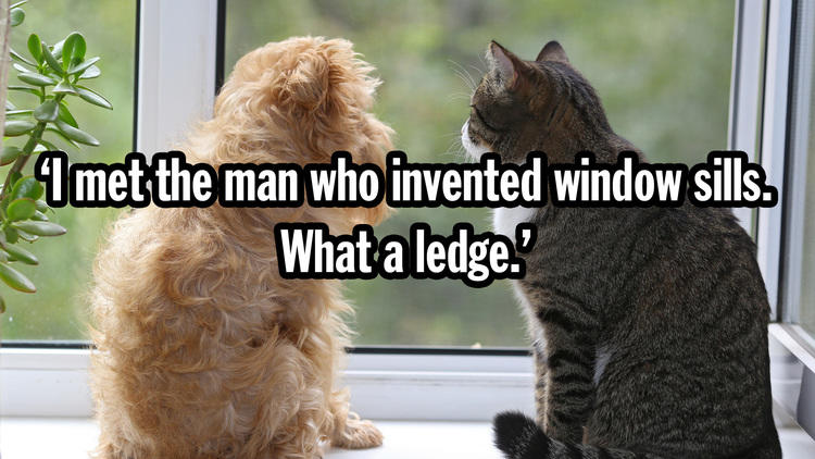 The Tim Vine joke vault – Time Out Comedy – Time Out London