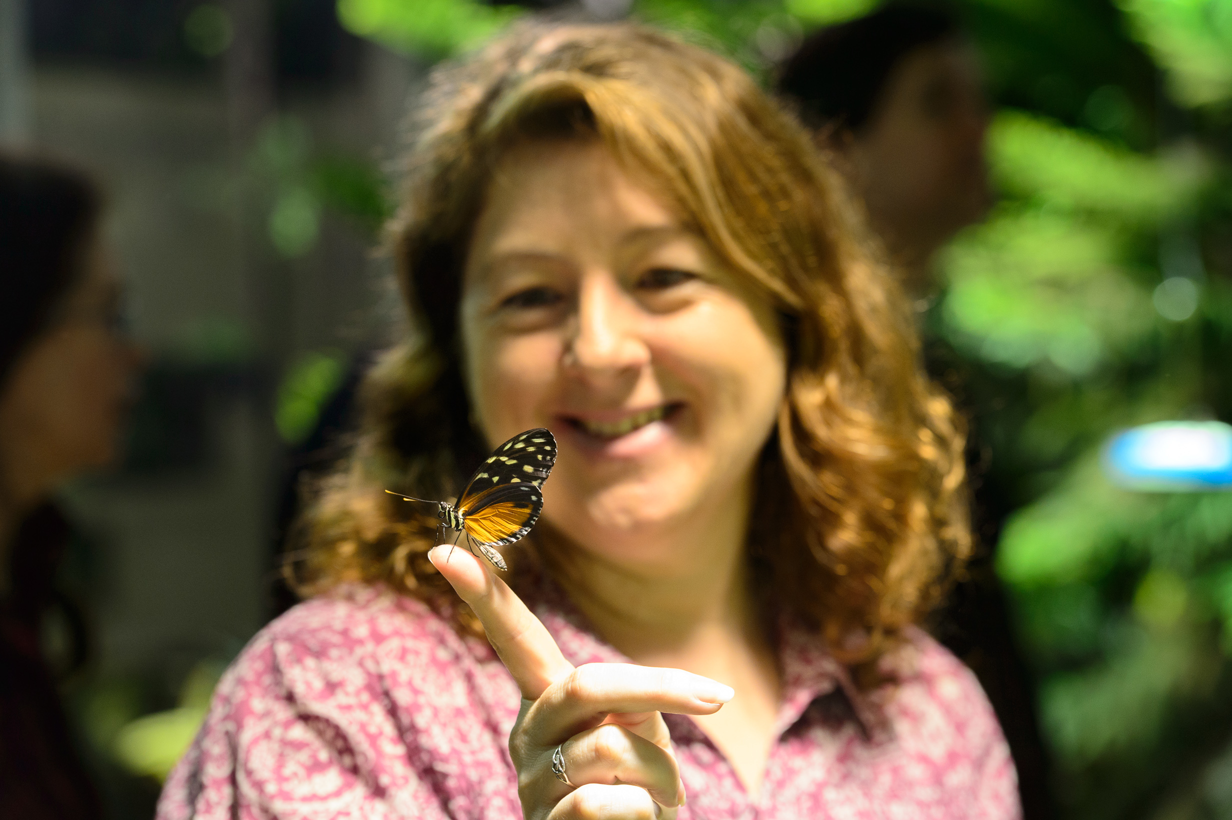 "The Butterfly Conservatory: Tropical Butterflies Alive in Winter ...