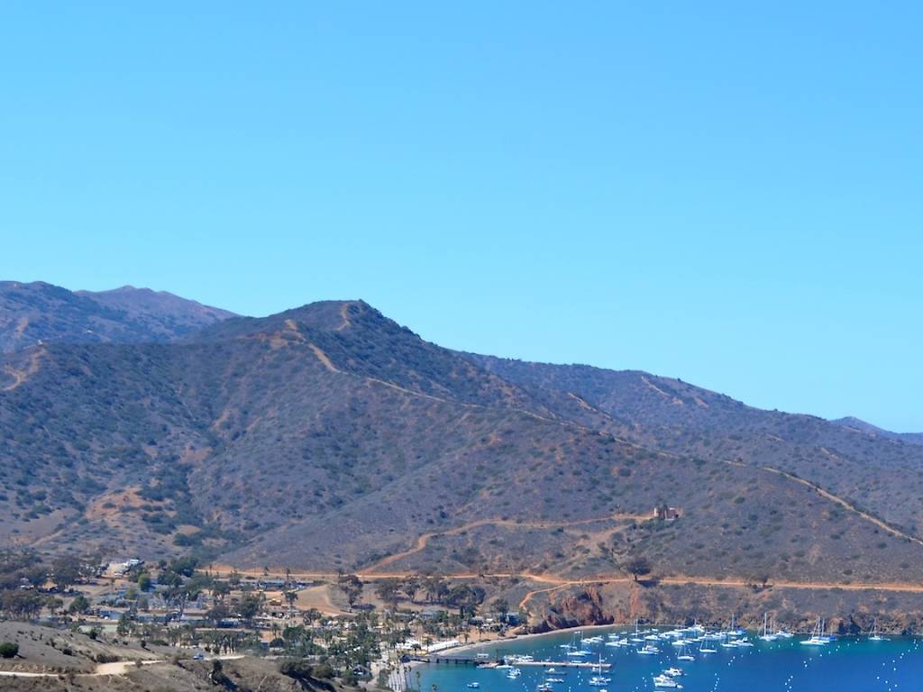 Santa Catalina Island, California 2026 | Ultimate Guide To Where To Go ...