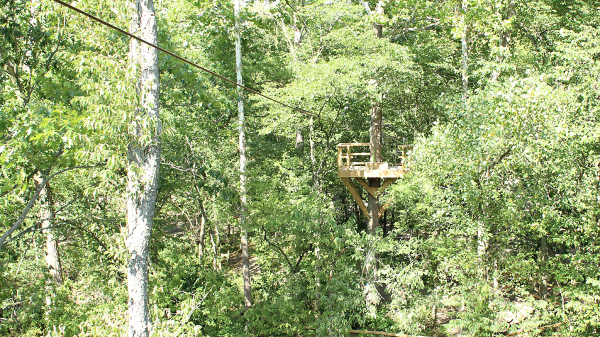 Zip-lining in the Chicago area