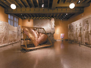 Dahn Vo at the Renaissance Society and Art Institute