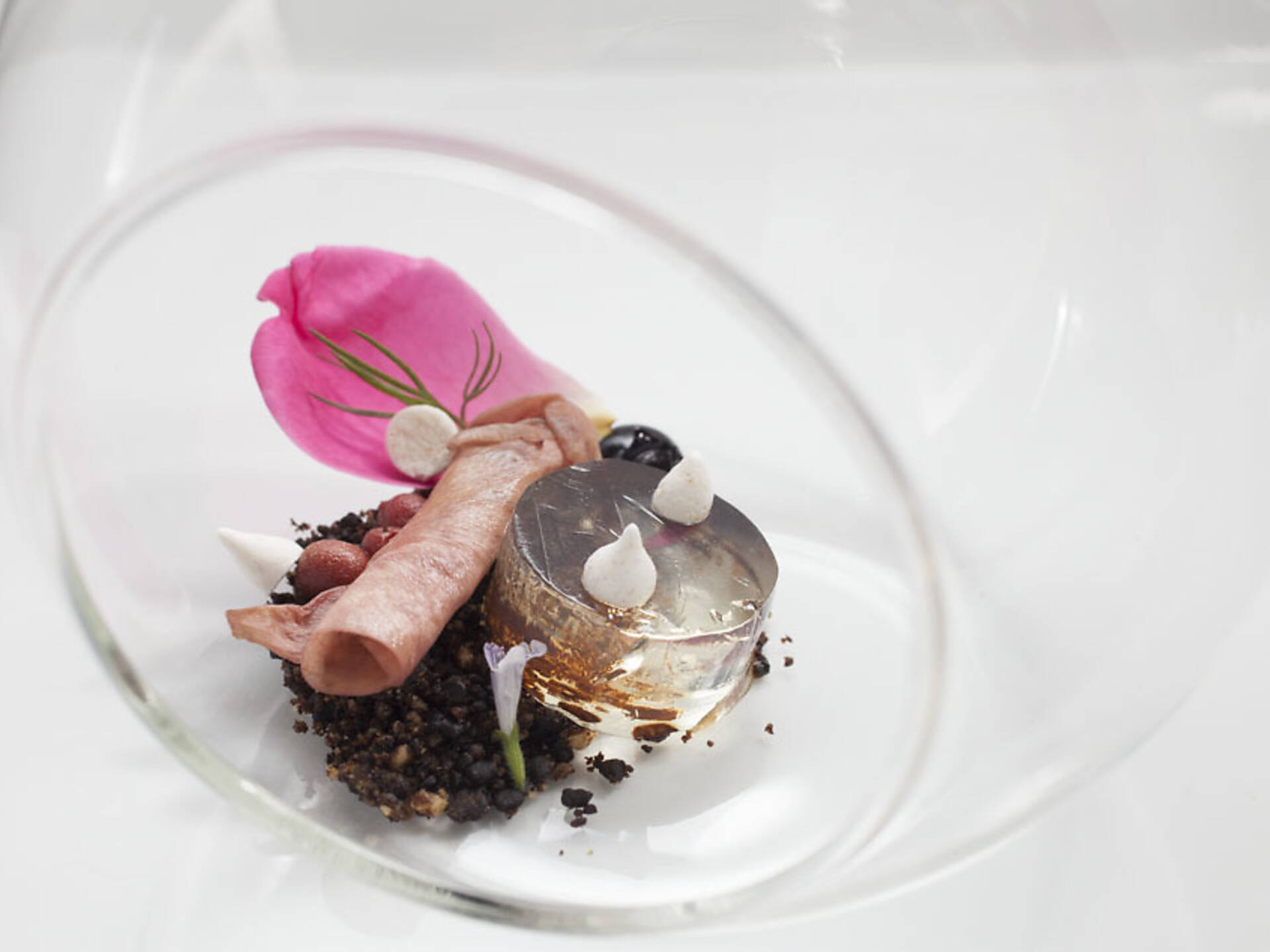 19 Amazing Fancy Restaurants in Chicago