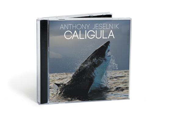 New stand-up CDs