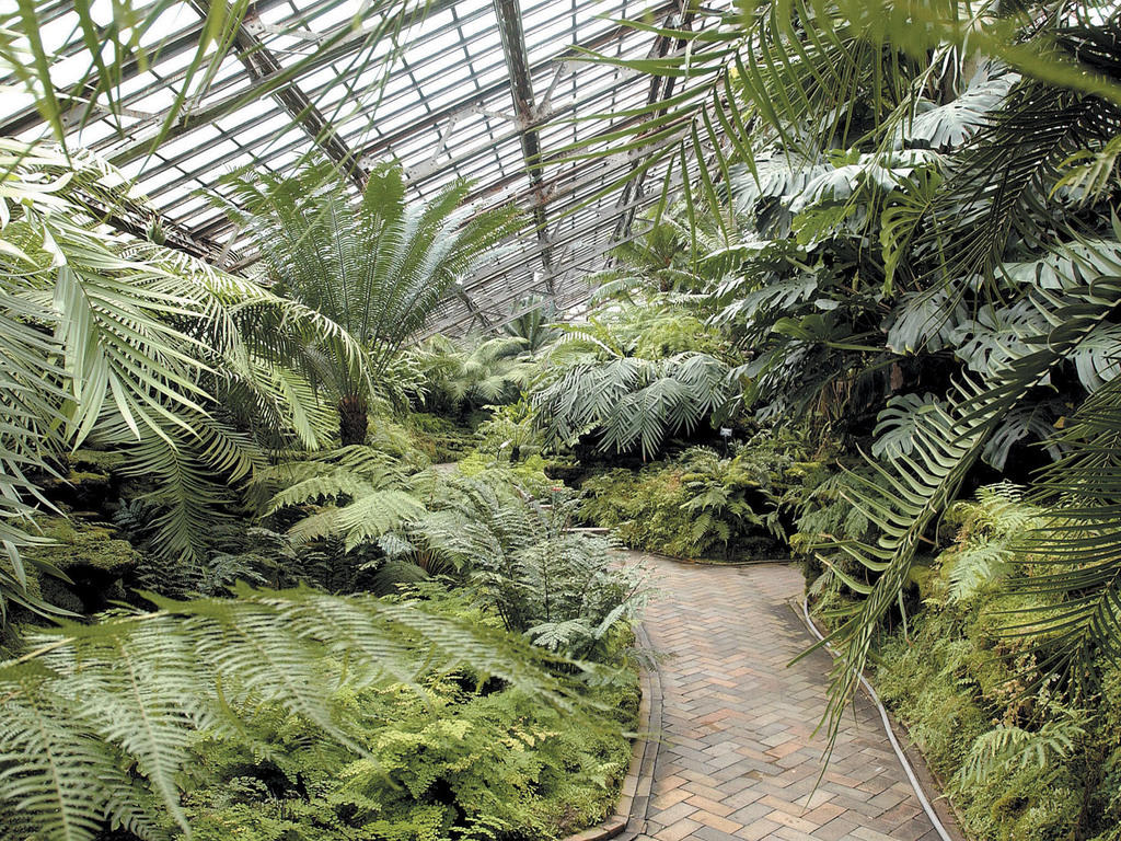 Your guide to viewing spring flowers in Chicago