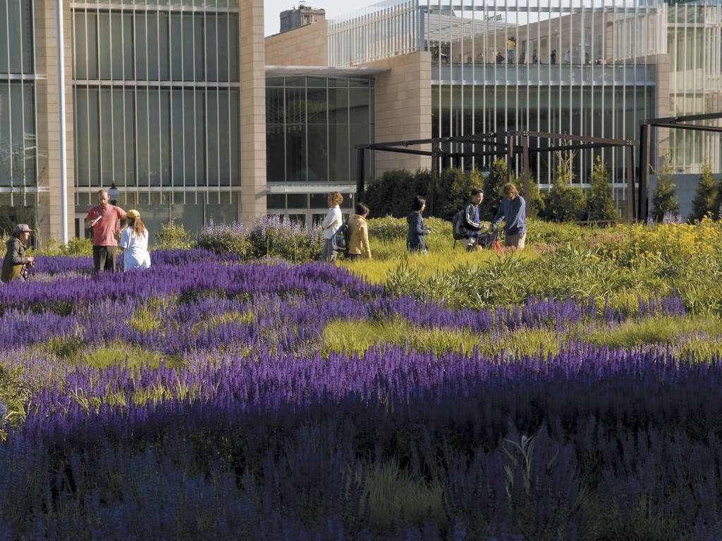 Your guide to viewing spring flowers in Chicago