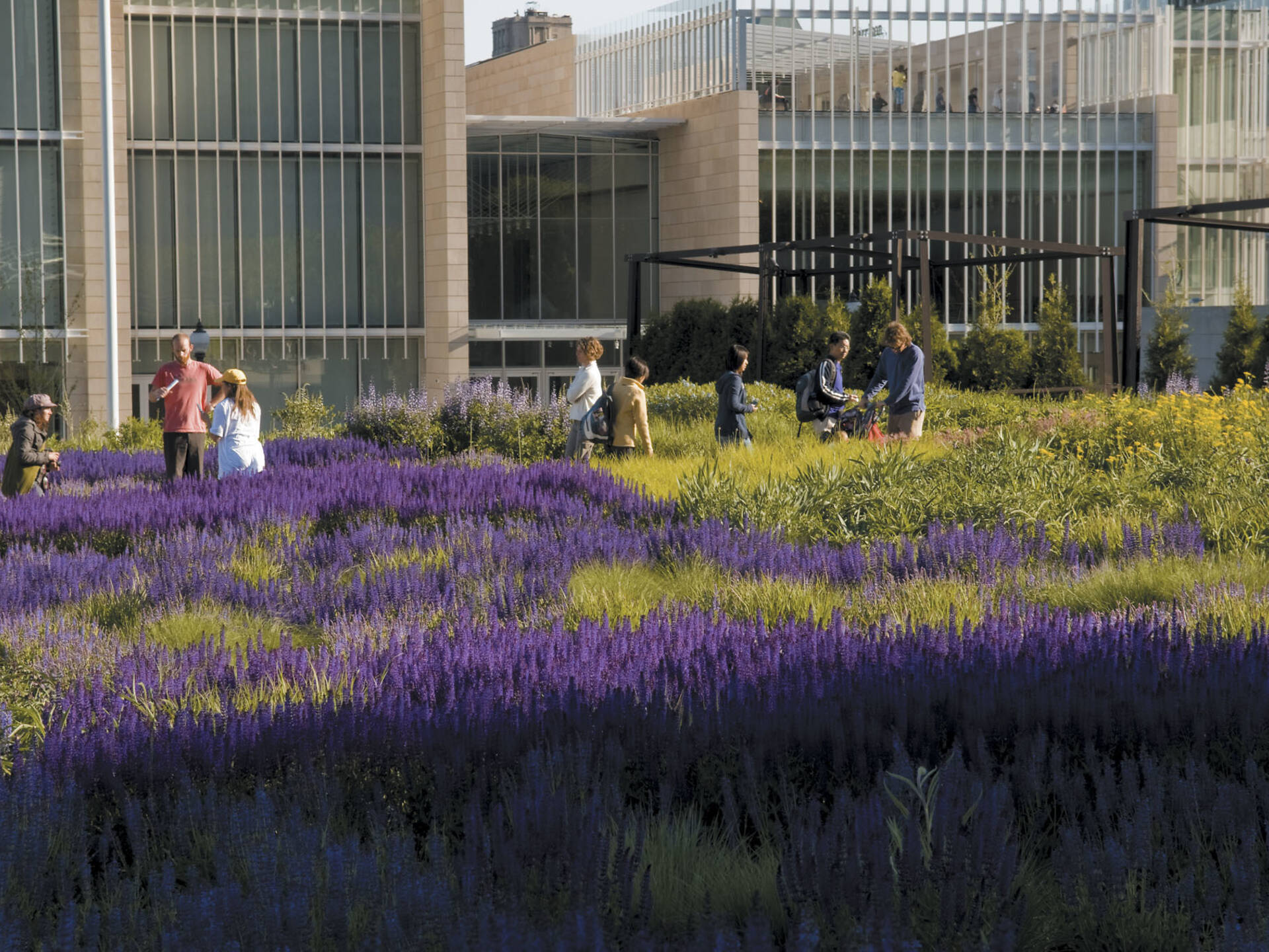 Your guide to viewing spring flowers in Chicago