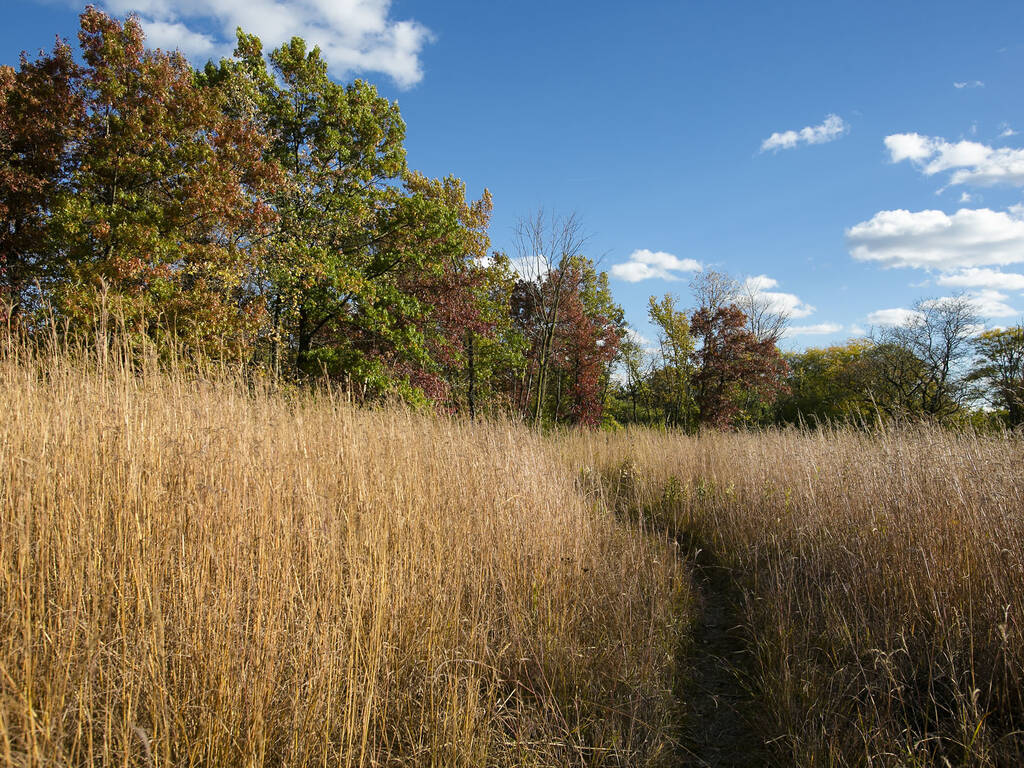18 Best Sledding Hills in Chicago
