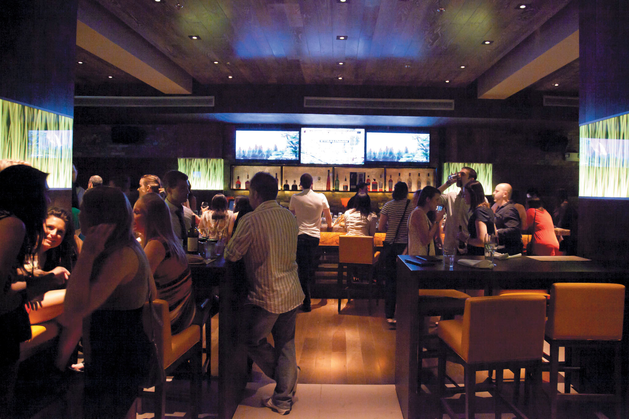 Mercer 113 | Bars in River North, Chicago