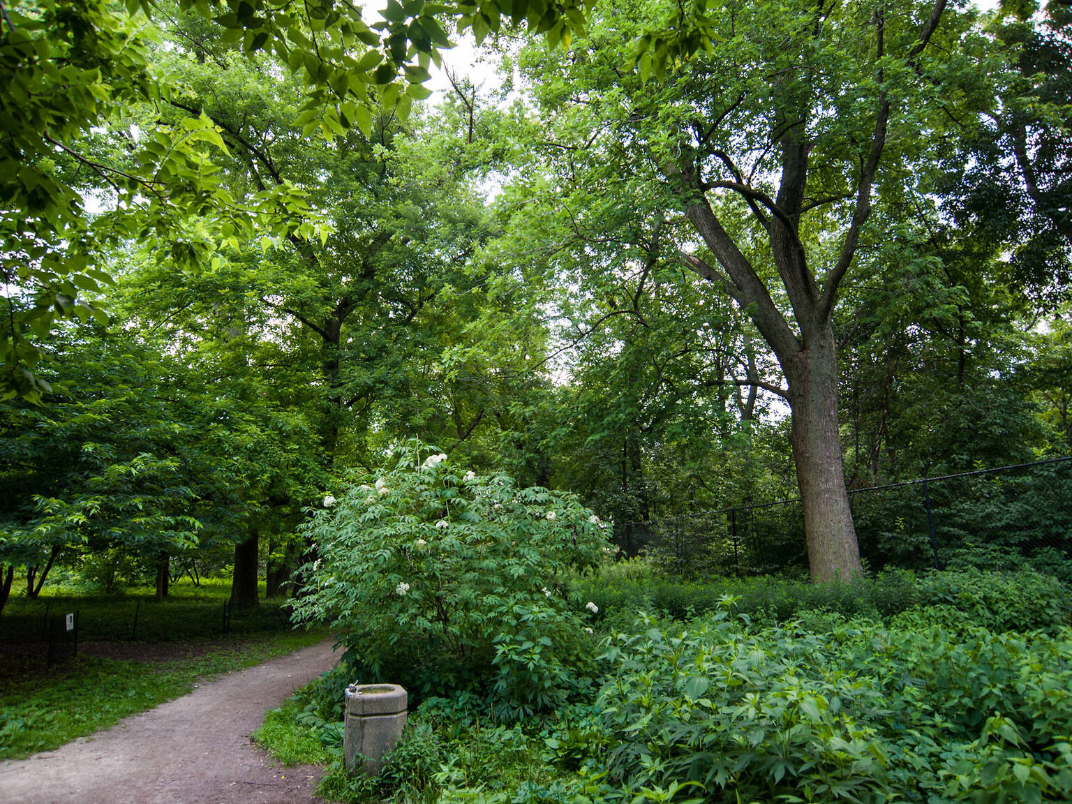 Lakeview’s best attractions and things to do