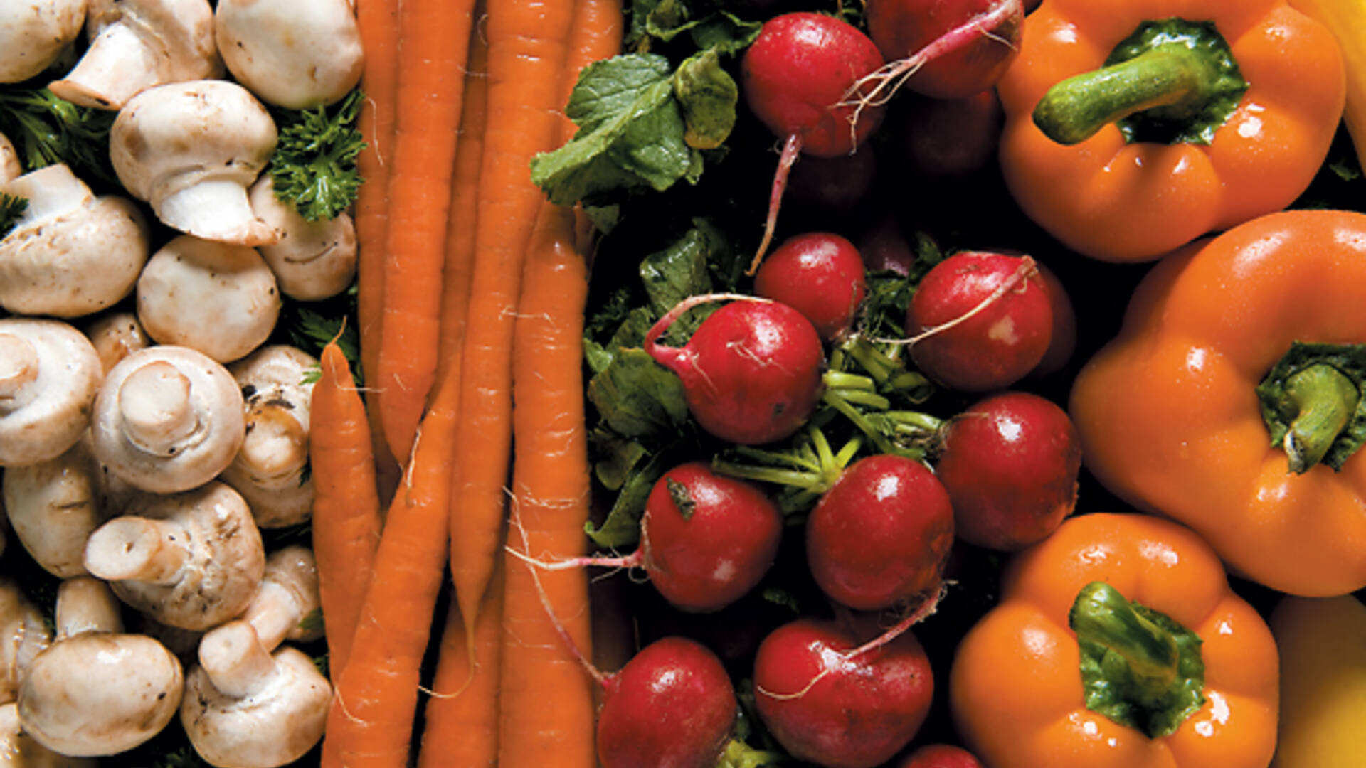 2012 CSA Guide | Our pick of the crop